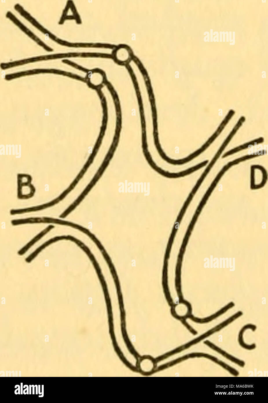 . The elements of genetics Stock Photo - Alamy