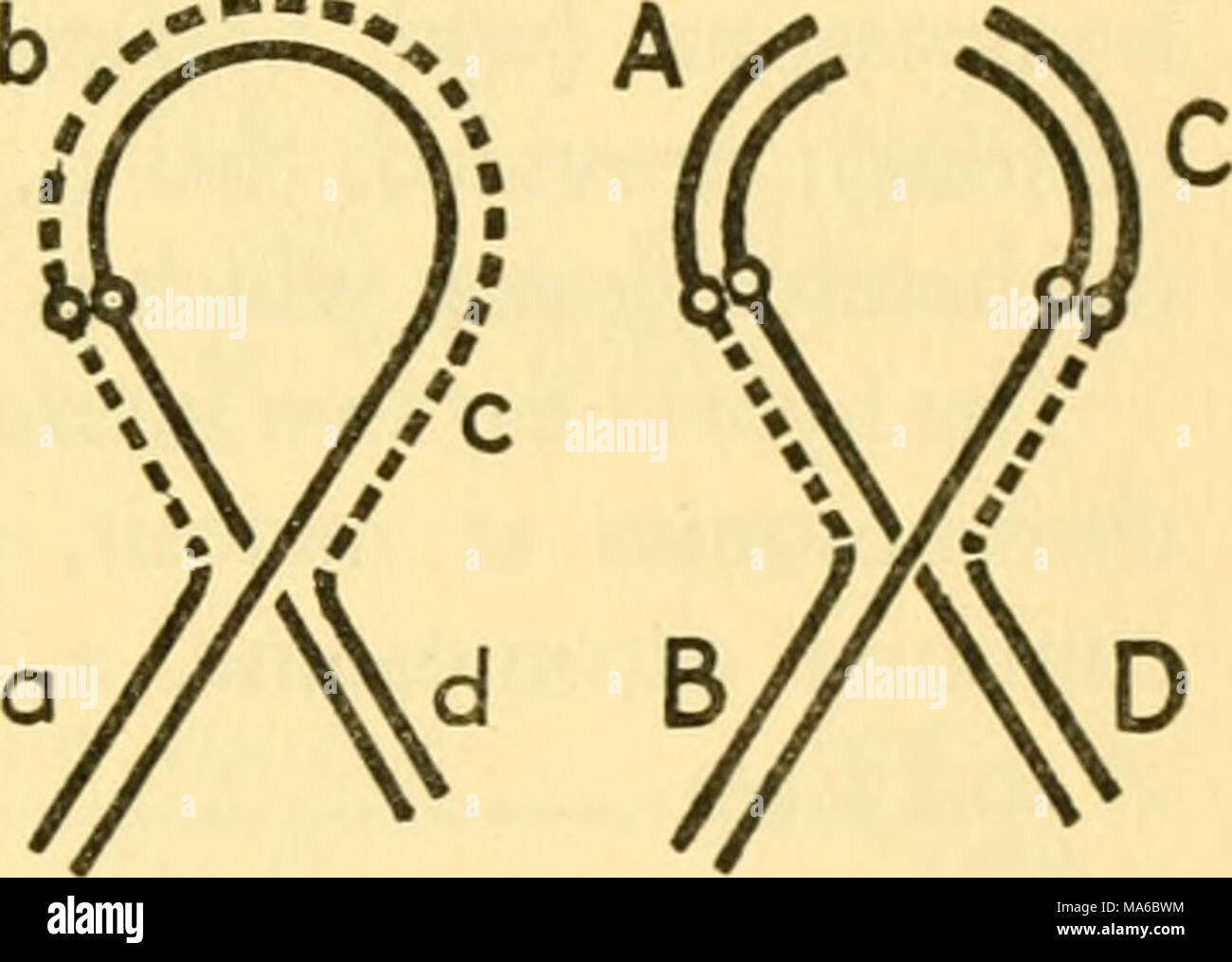 . The elements of genetics Stock Photo - Alamy