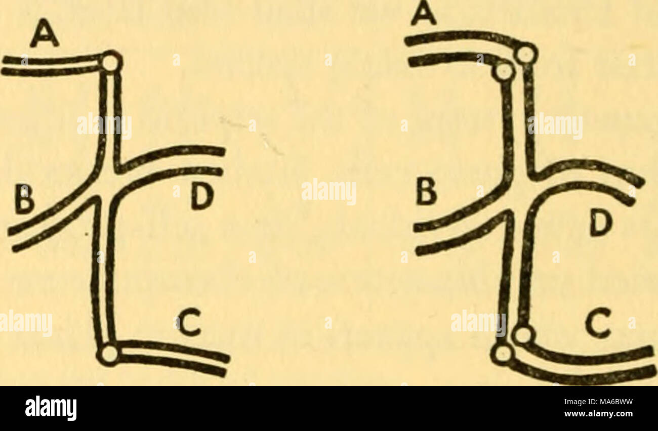. The elements of genetics Stock Photo - Alamy
