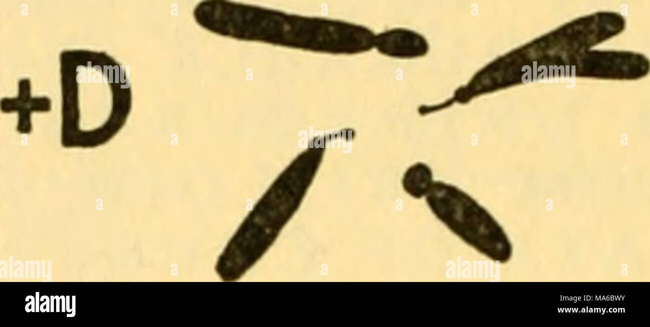 . The elements of genetics Stock Photo - Alamy