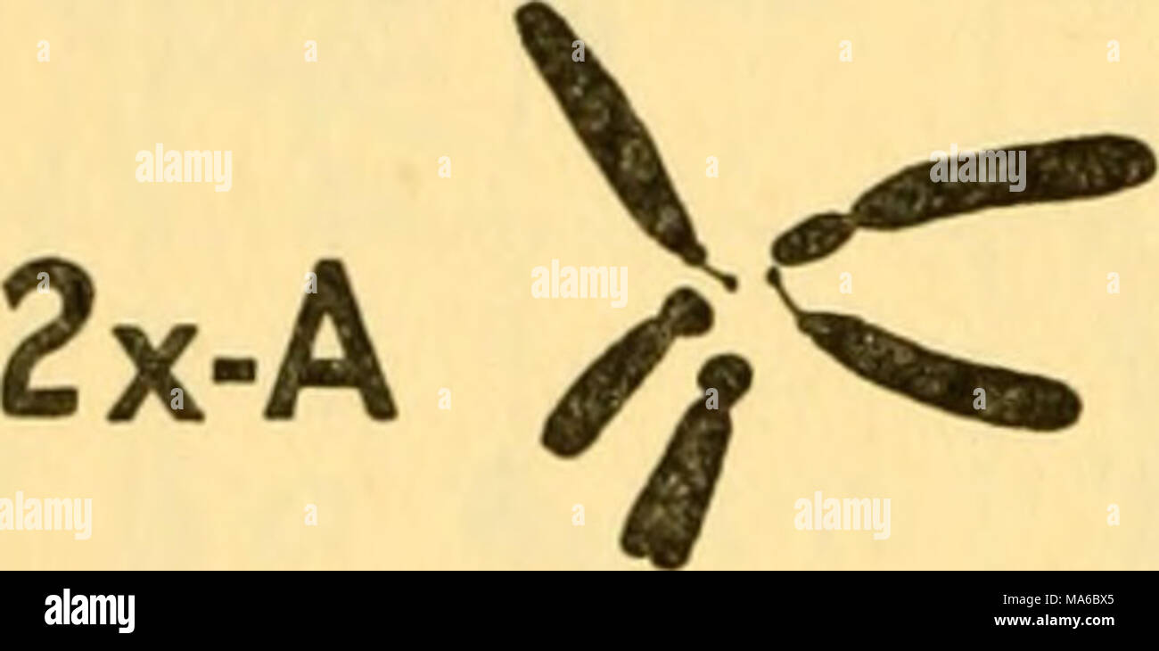 . The elements of genetics Stock Photo - Alamy