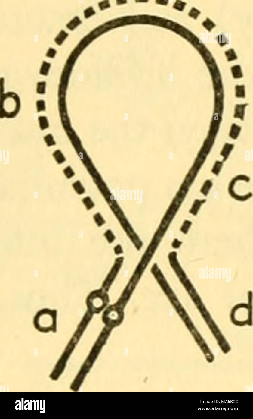 . The elements of genetics Stock Photo - Alamy