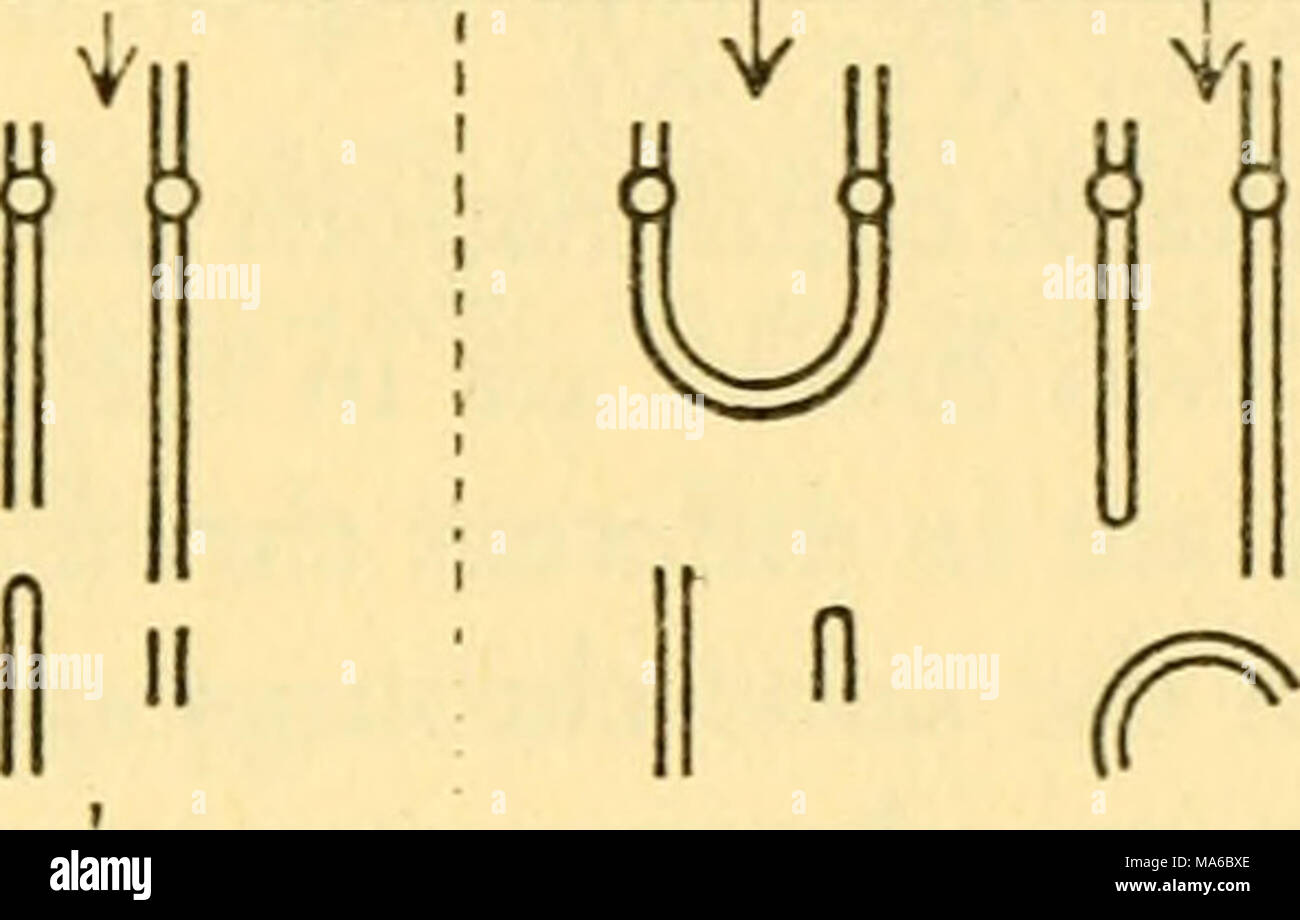 . The elements of genetics Stock Photo - Alamy