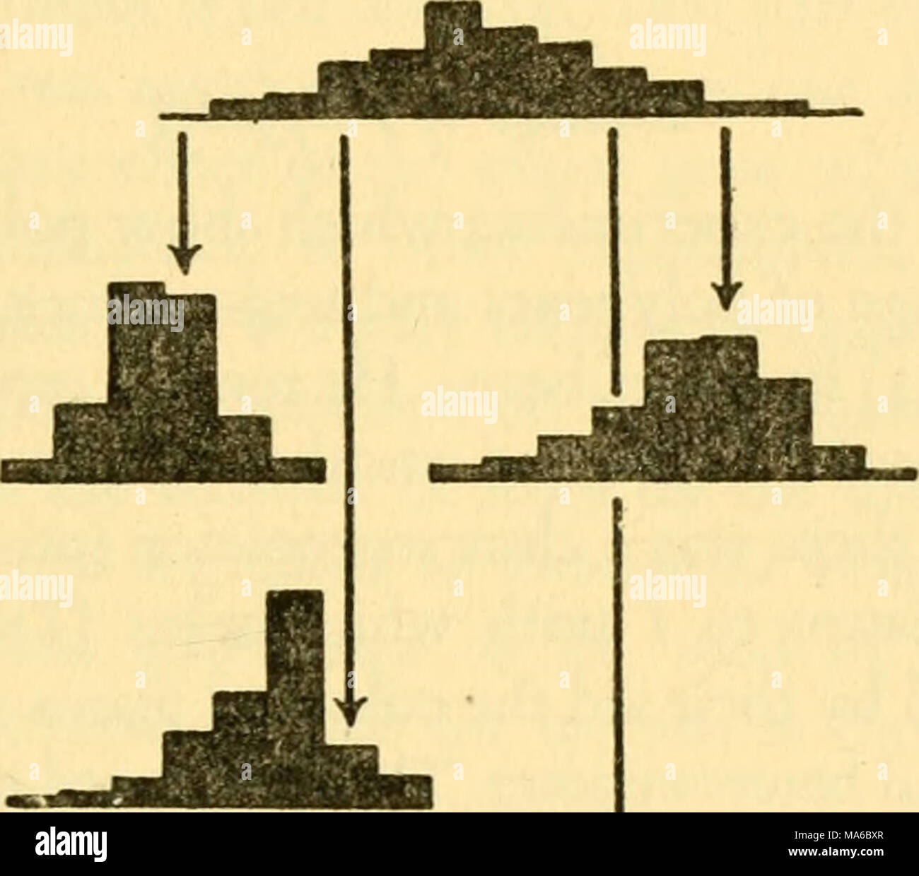 . The elements of genetics Stock Photo - Alamy