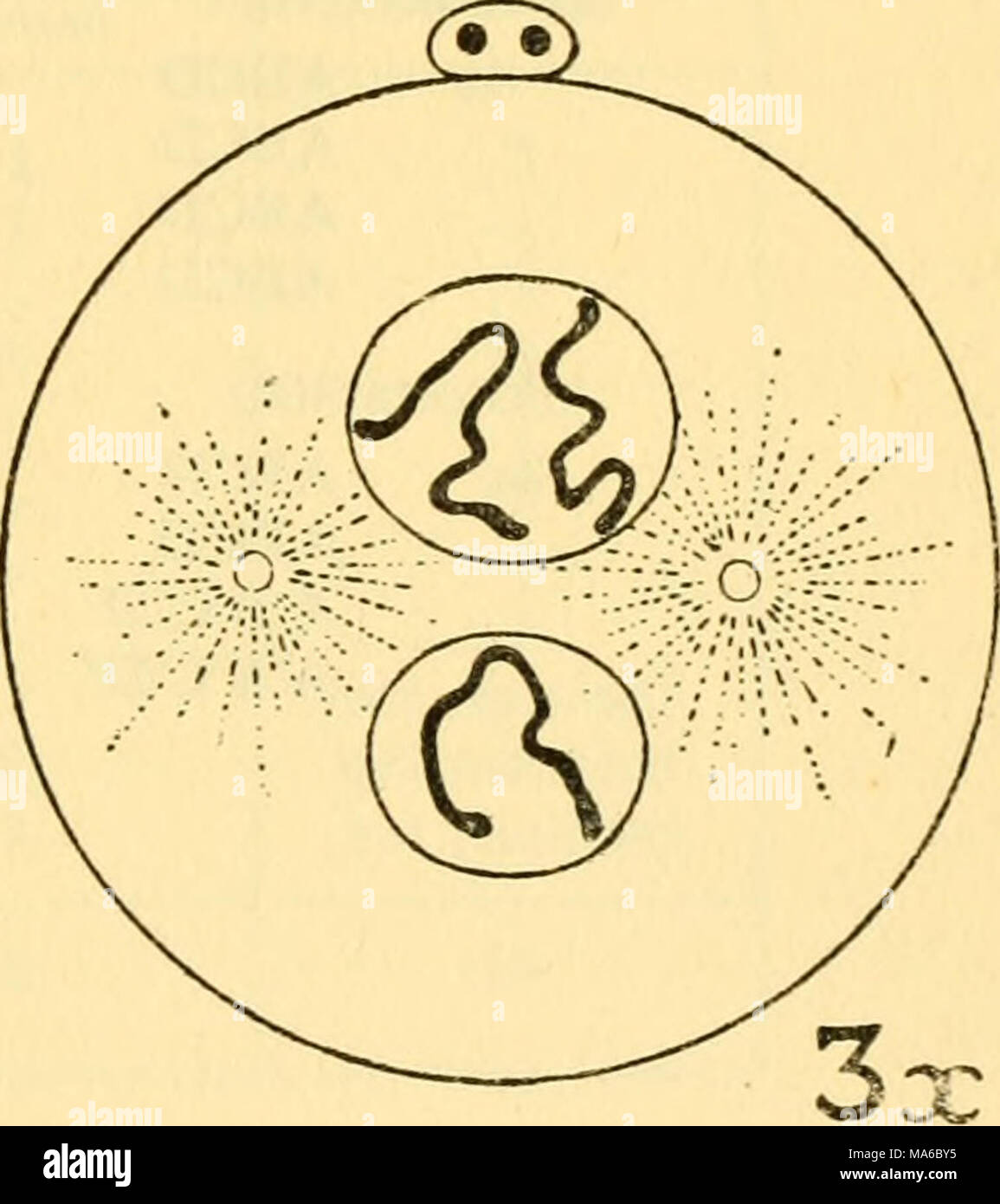 . The elements of genetics Stock Photo - Alamy
