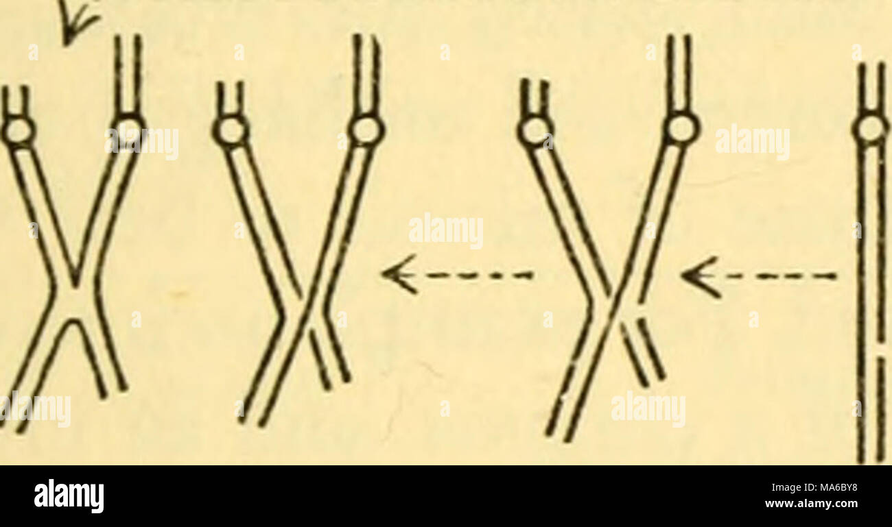 . The elements of genetics Stock Photo - Alamy