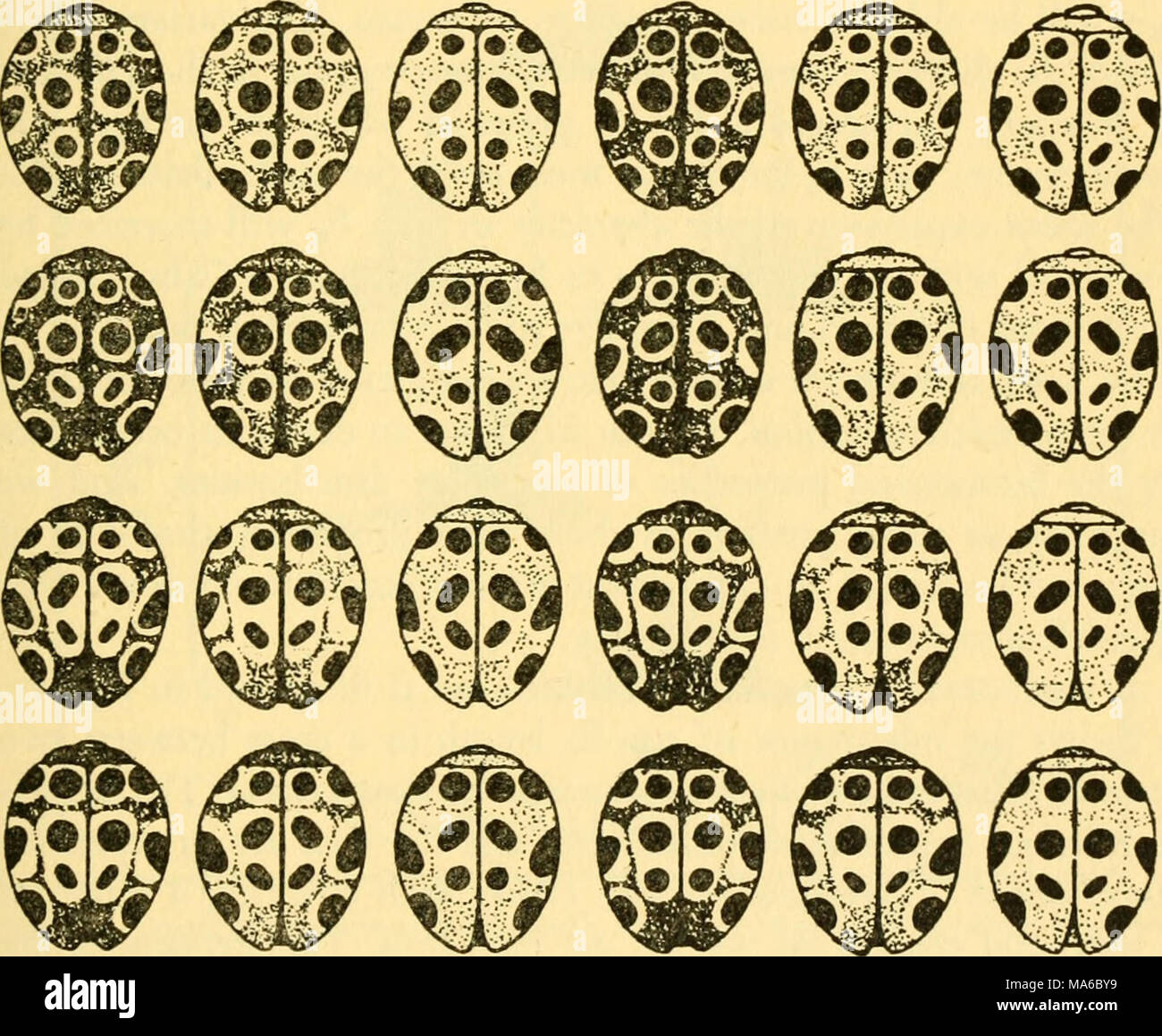 . The elements of genetics Stock Photo - Alamy