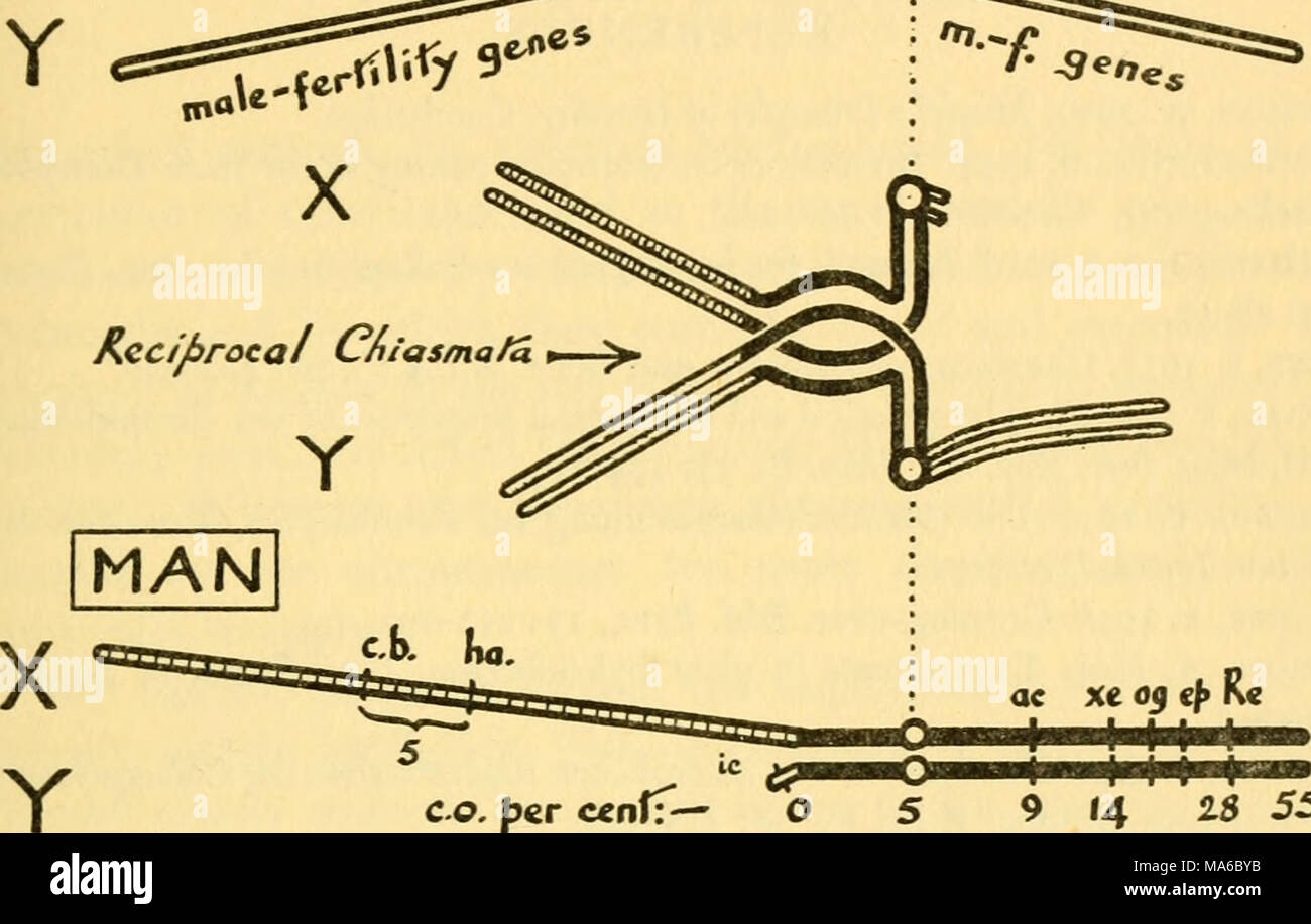 . The elements of genetics Stock Photo - Alamy