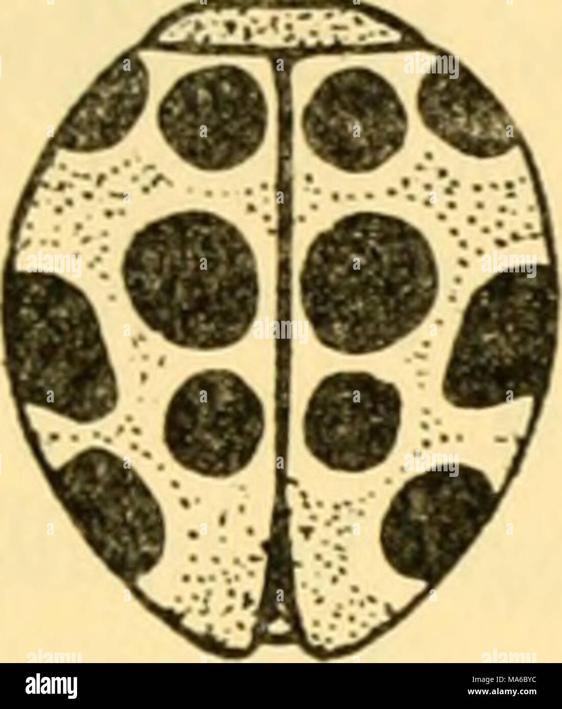 . The elements of genetics Stock Photo - Alamy