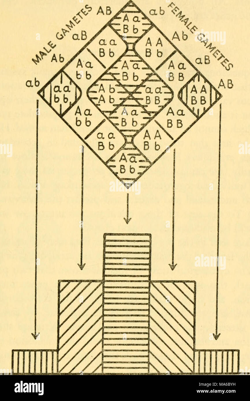 . The elements of genetics Stock Photo - Alamy