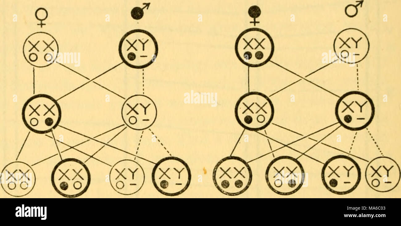 . The elements of genetics Stock Photo - Alamy