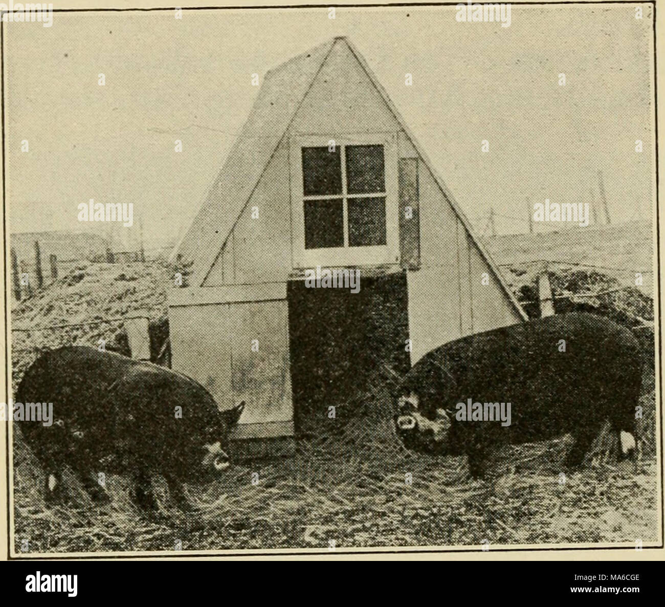 . Elements of farm practice, prepared especially for teaching ...