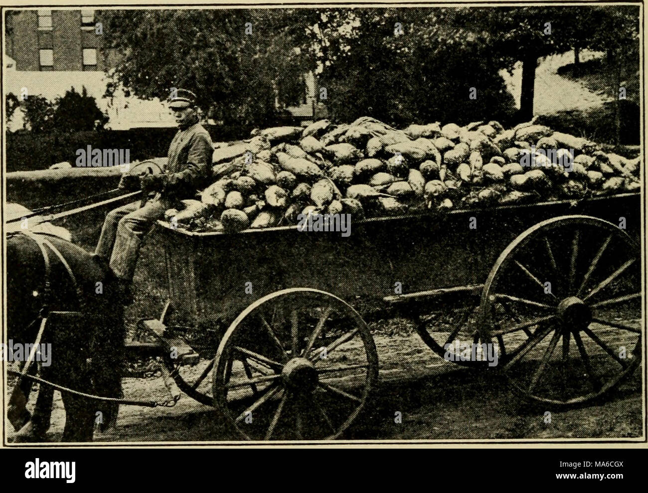 . Elements of farm practice, prepared especially for teaching ...