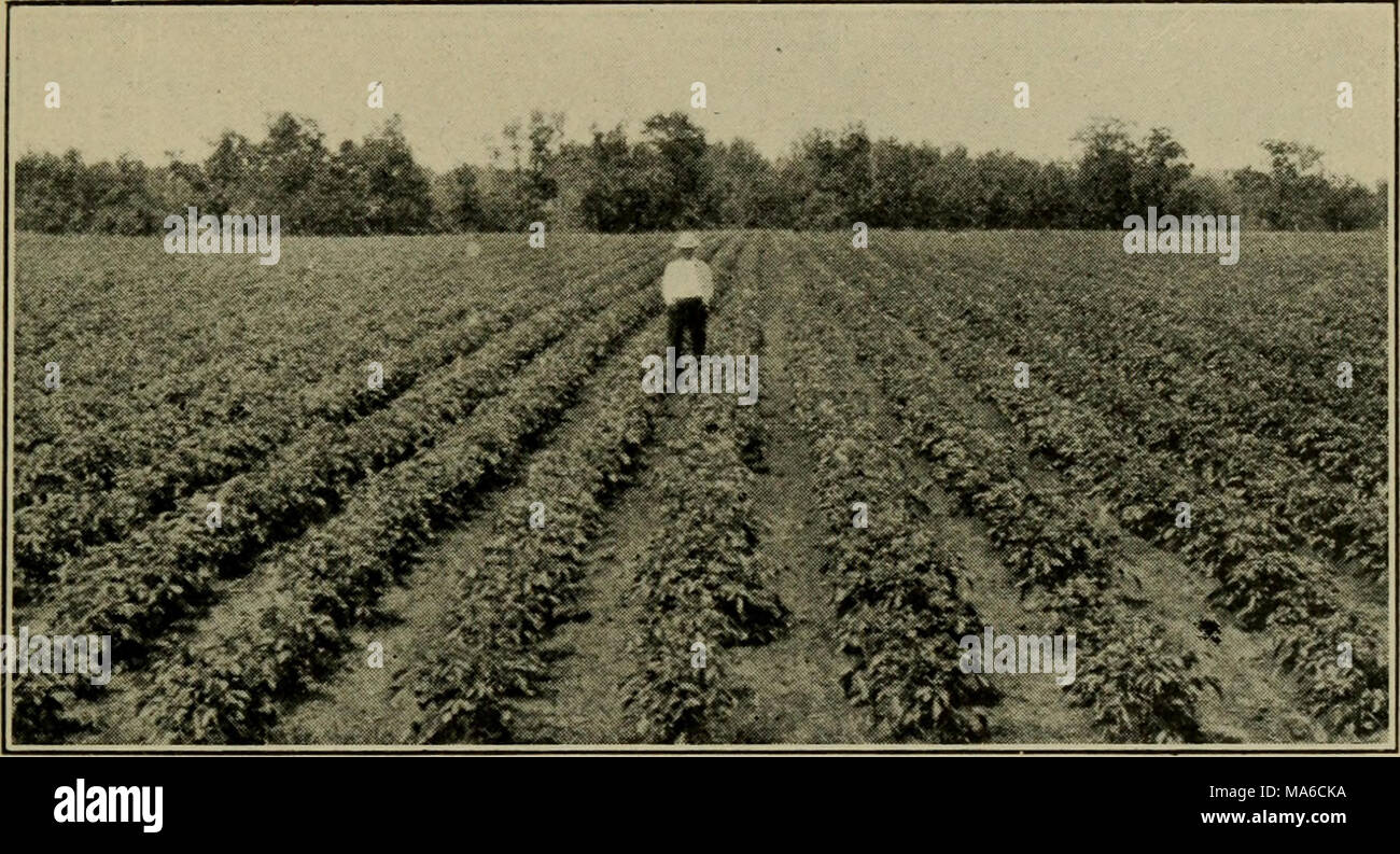 . Elements of farm practice, prepared especially for teaching ...