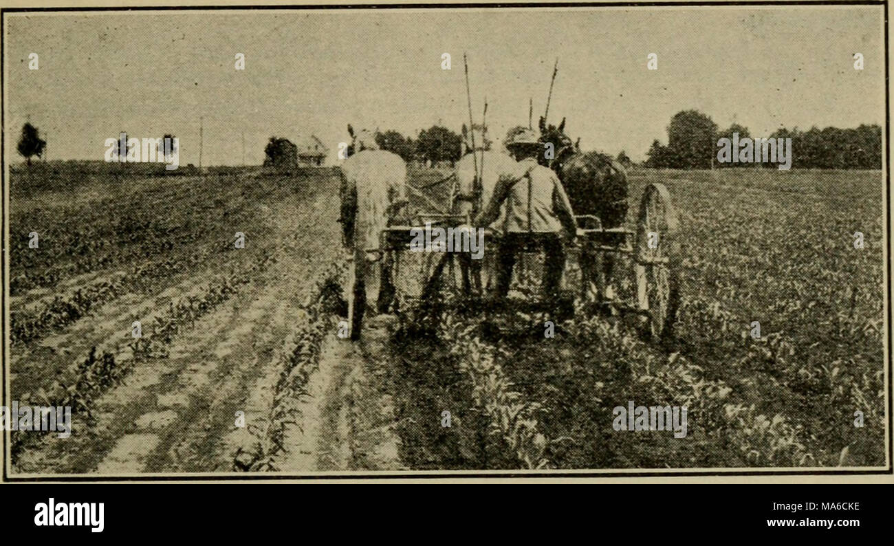 . Elements of farm practice, prepared especially for teaching ...