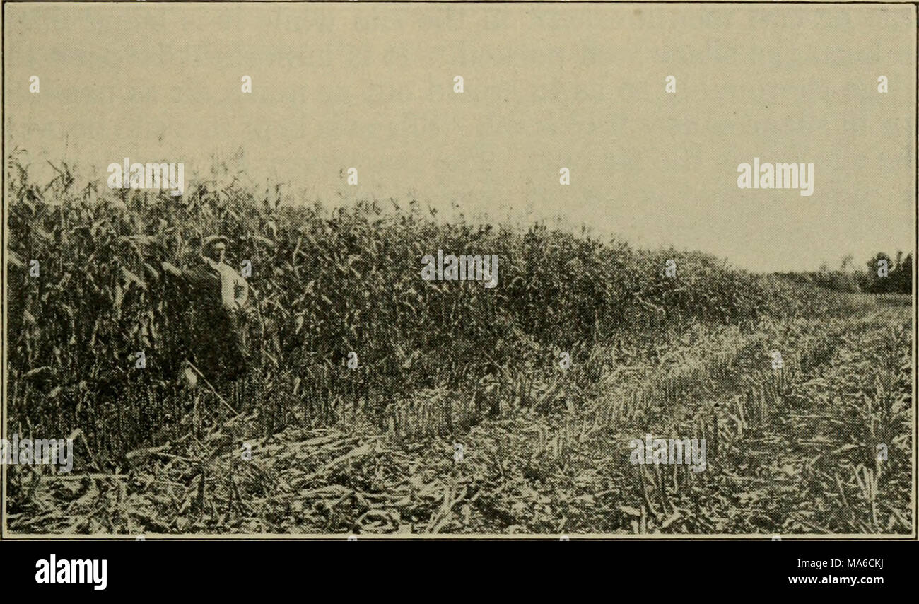 . Elements of farm practice, prepared especially for teaching ...