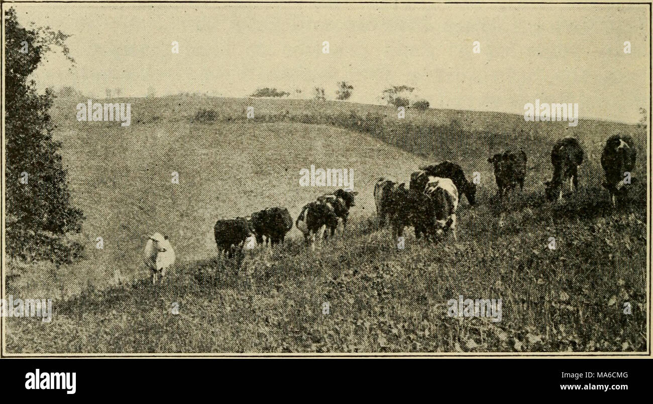 . Elements of farm practice, prepared especially for teaching ...