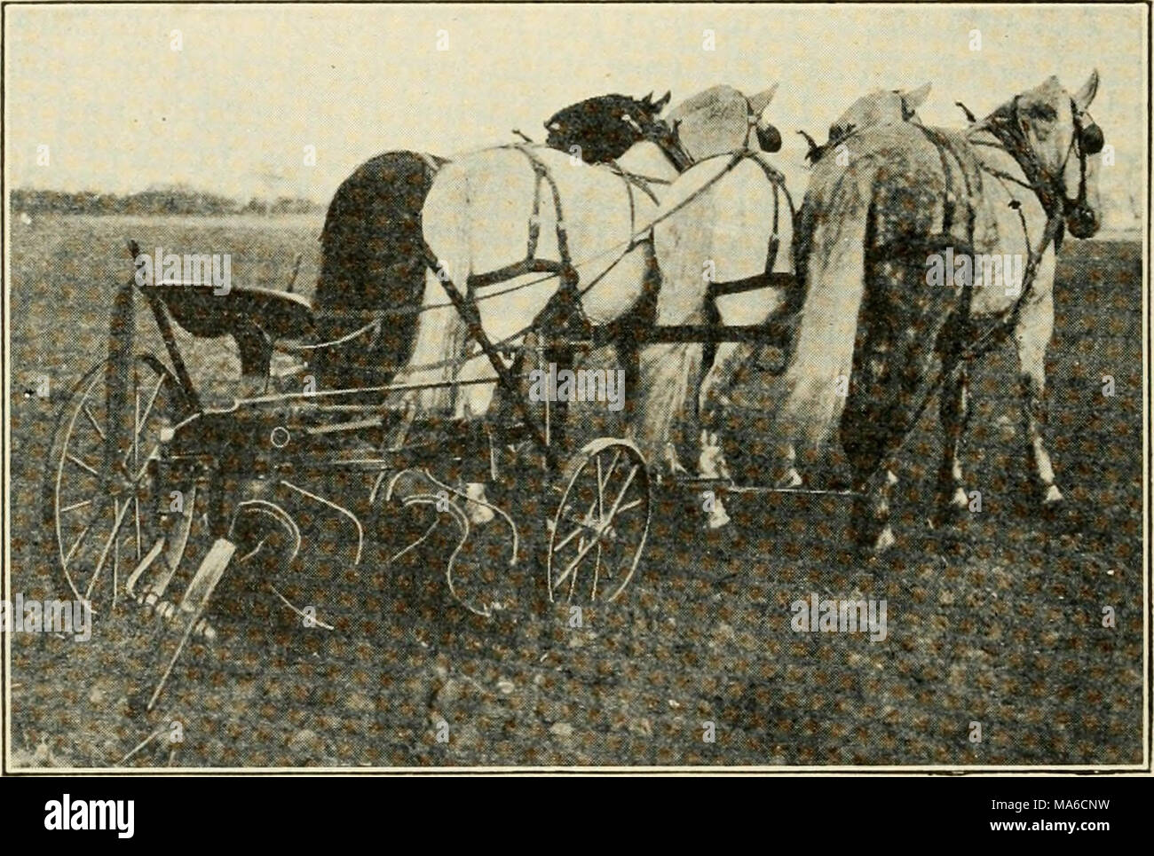 . Elements of farm practice Stock Photo - Alamy