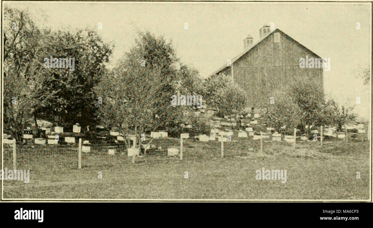 . Elements of farm practice Stock Photo - Alamy