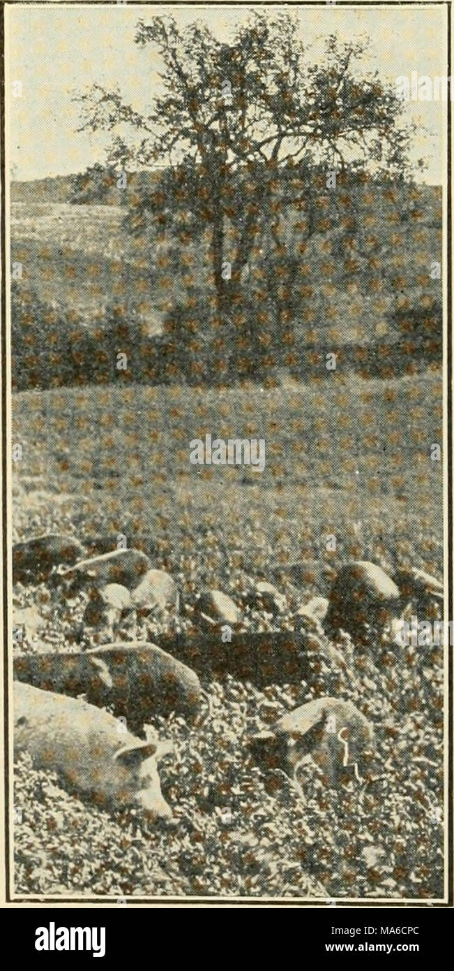 . Elements of farm practice Stock Photo - Alamy