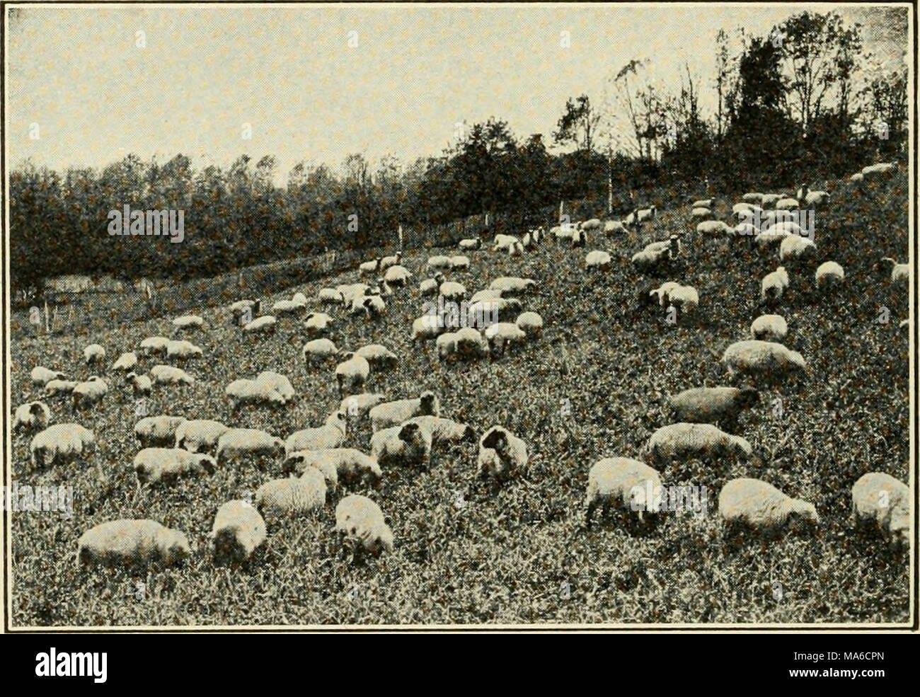 . Elements of farm practice Stock Photo - Alamy