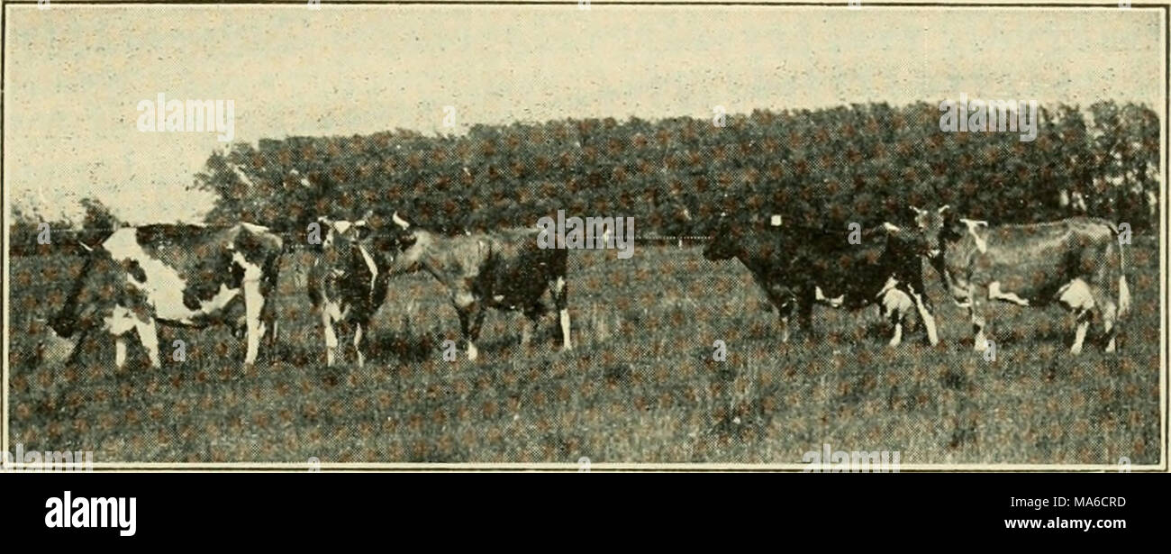 . Elements of farm practice Stock Photo - Alamy