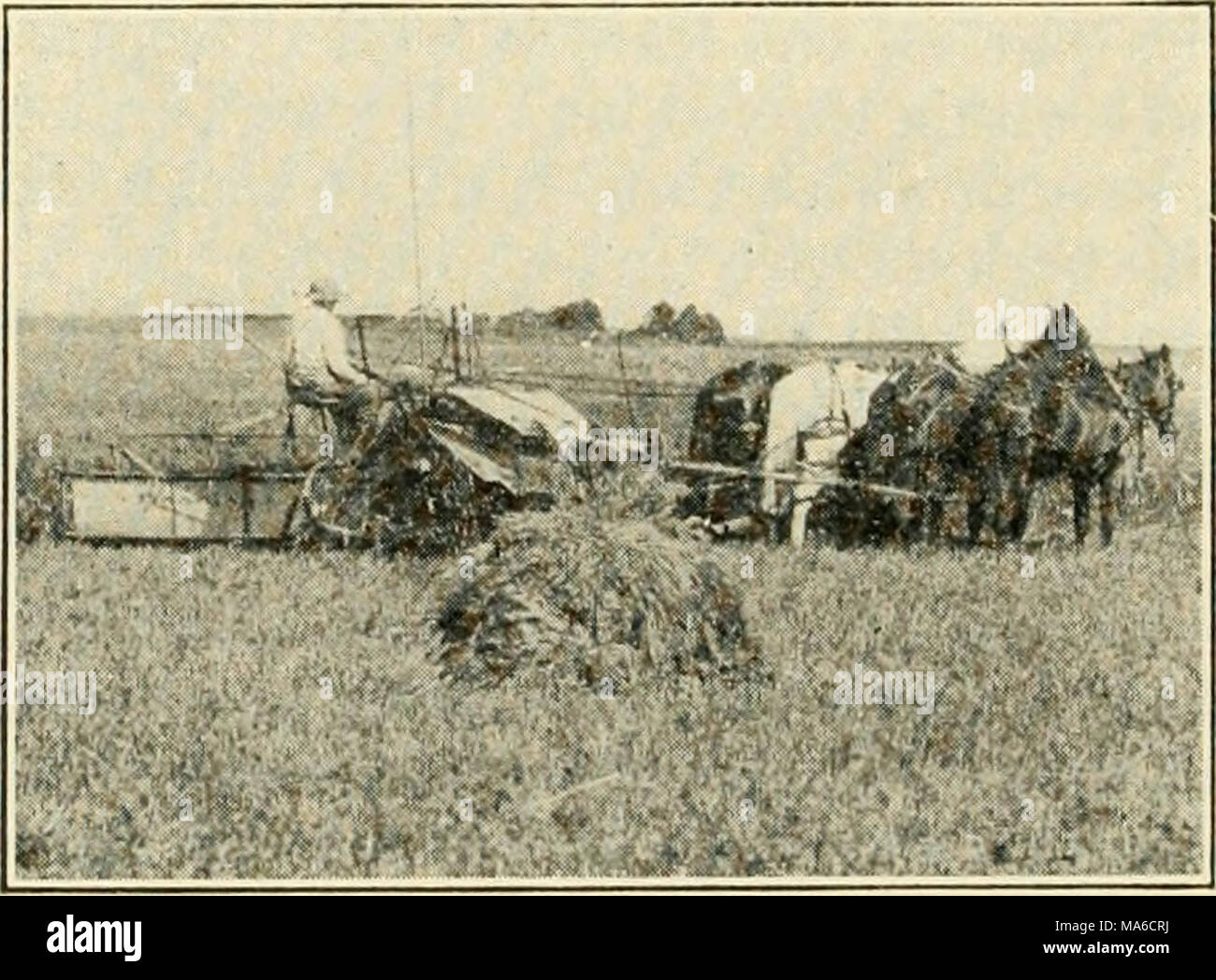 . Elements of farm practice Stock Photo - Alamy