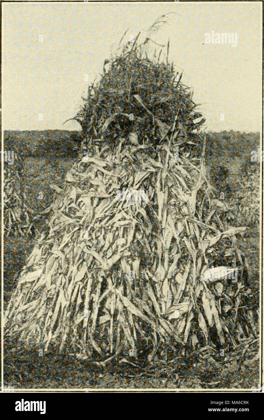 . Elements of farm practice Stock Photo - Alamy