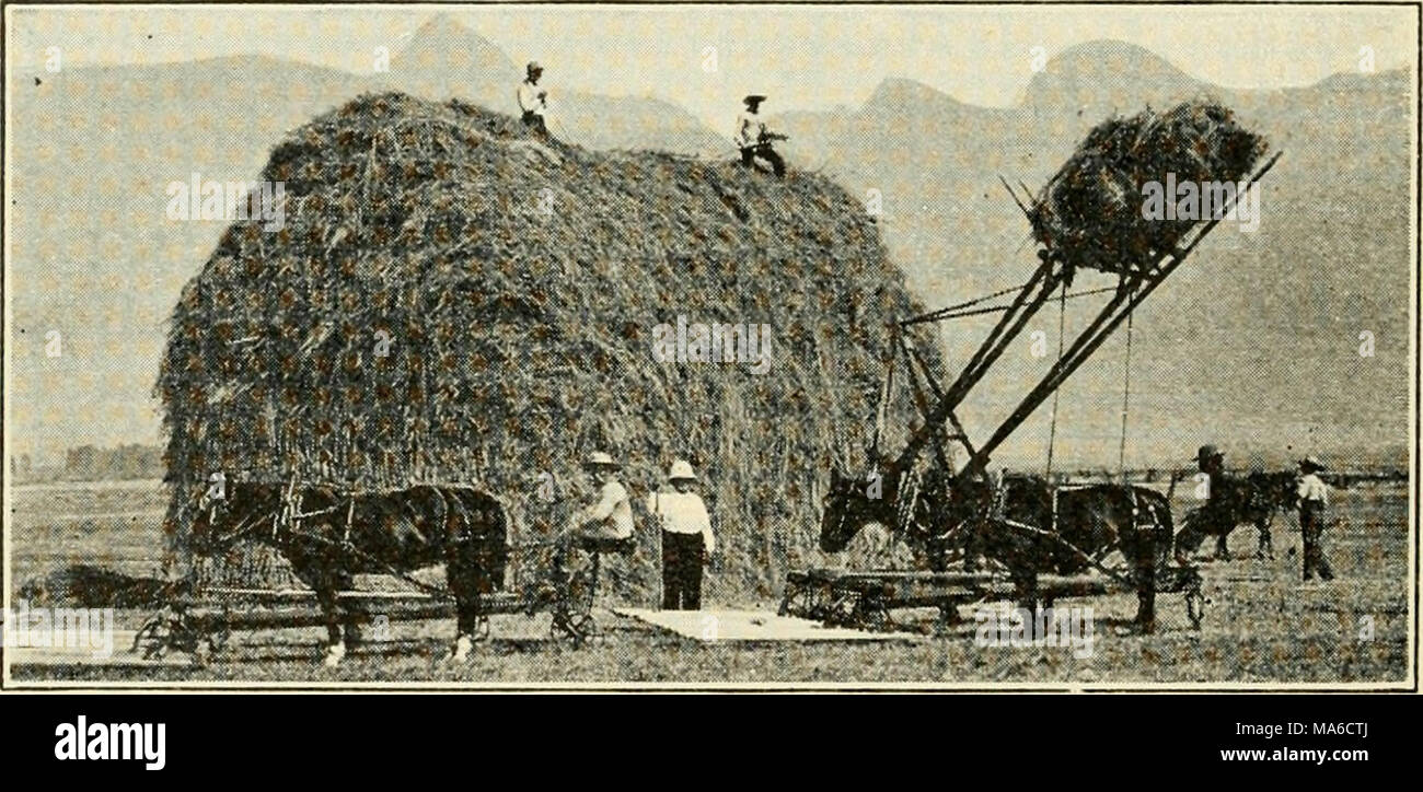 . Elements of farm practice Stock Photo - Alamy