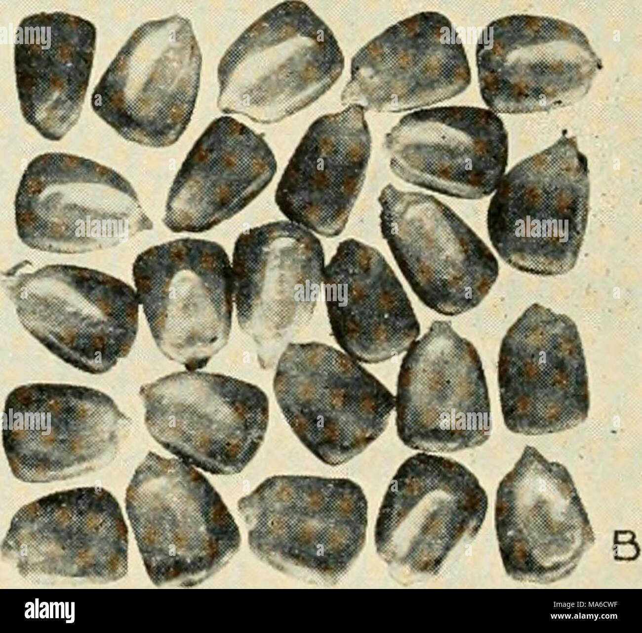 . Elements of farm practice Stock Photo - Alamy