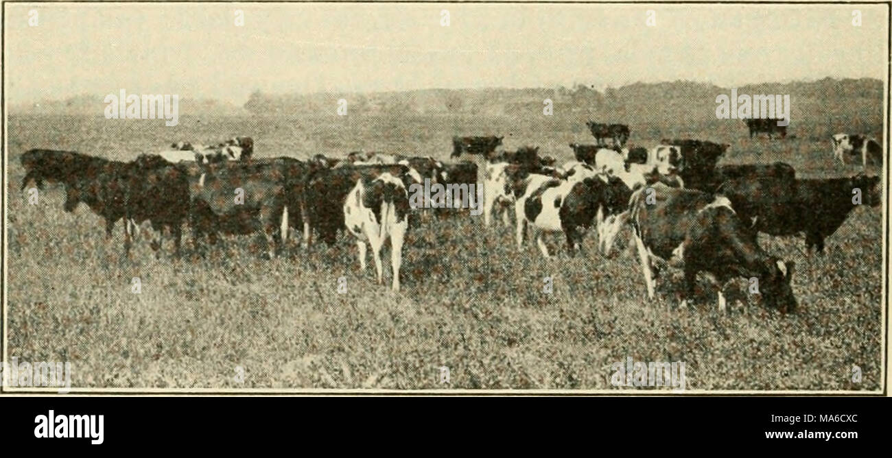 . Elements of farm practice Stock Photo - Alamy