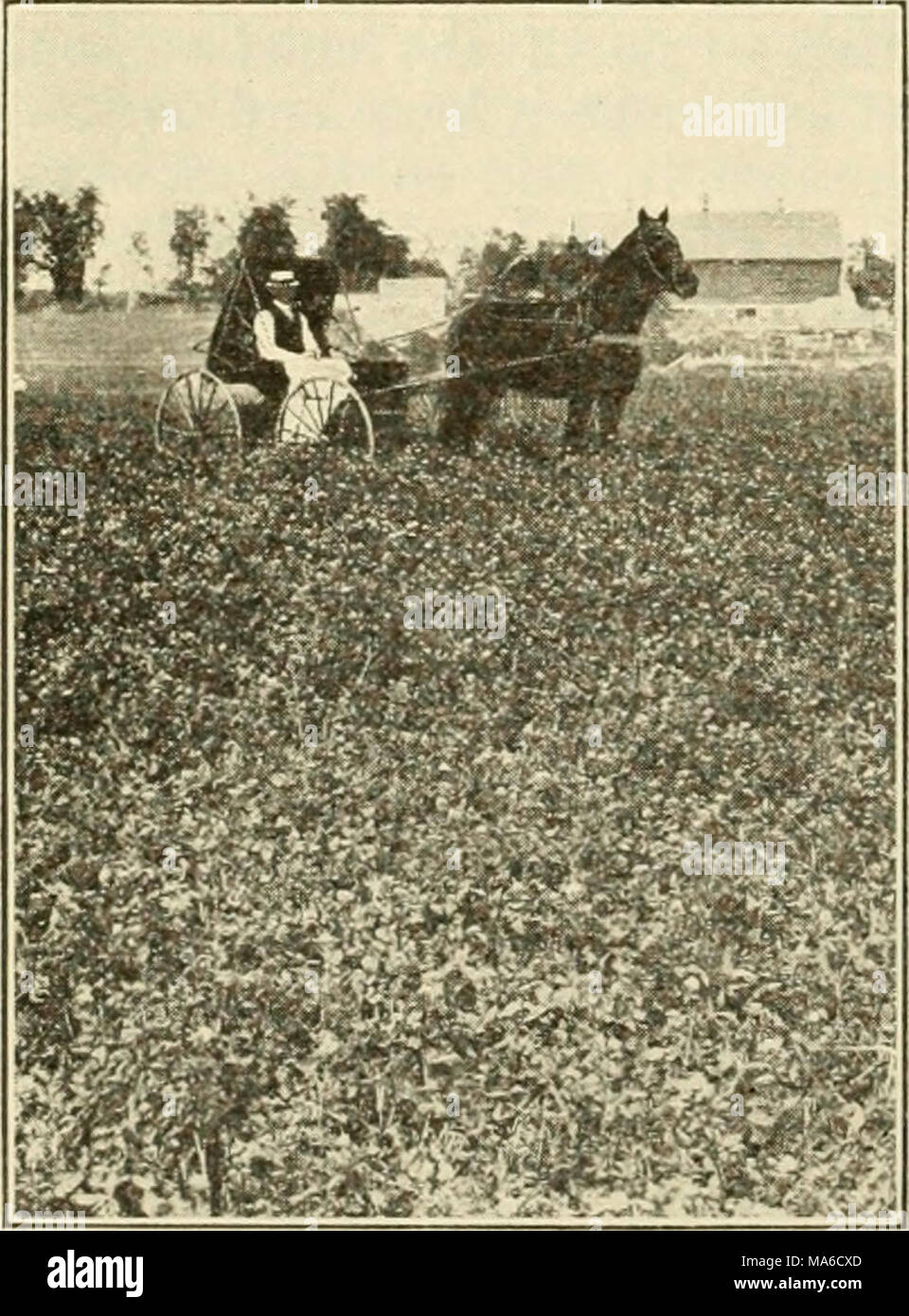 . Elements of farm practice Stock Photo - Alamy