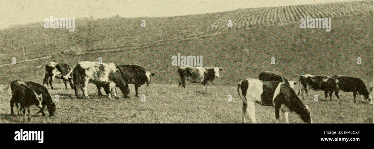 . Elements of farm practice Stock Photo - Alamy