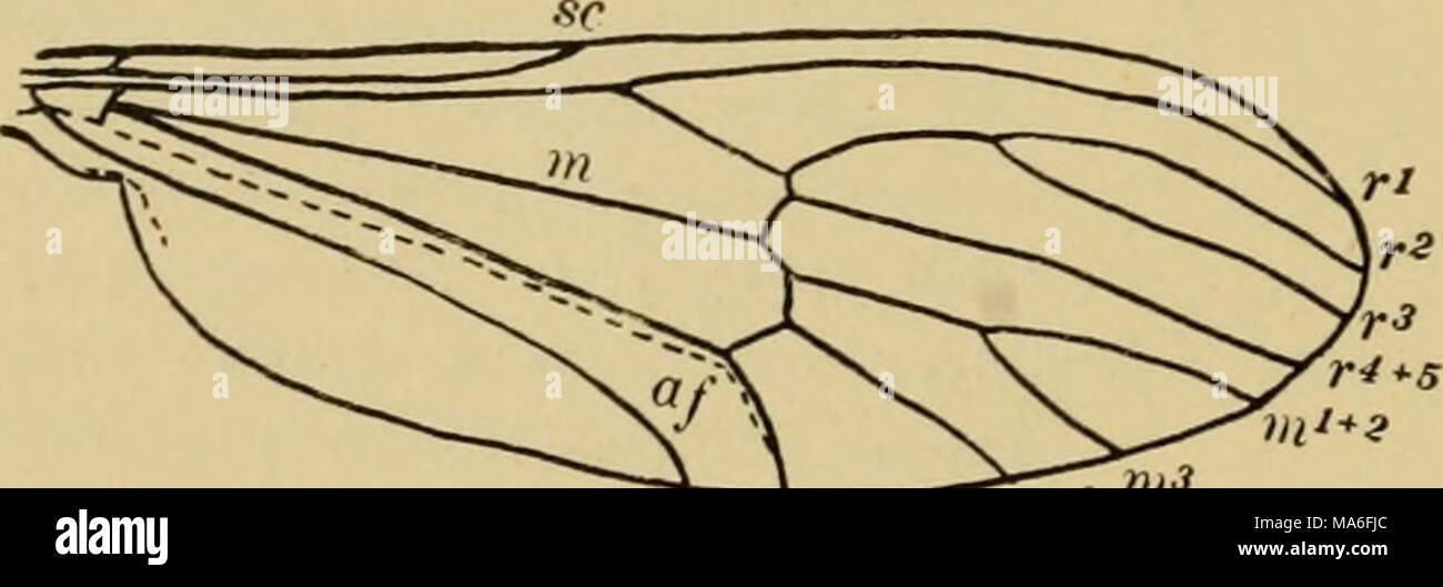 Dixa hi-res stock photography and images - Alamy