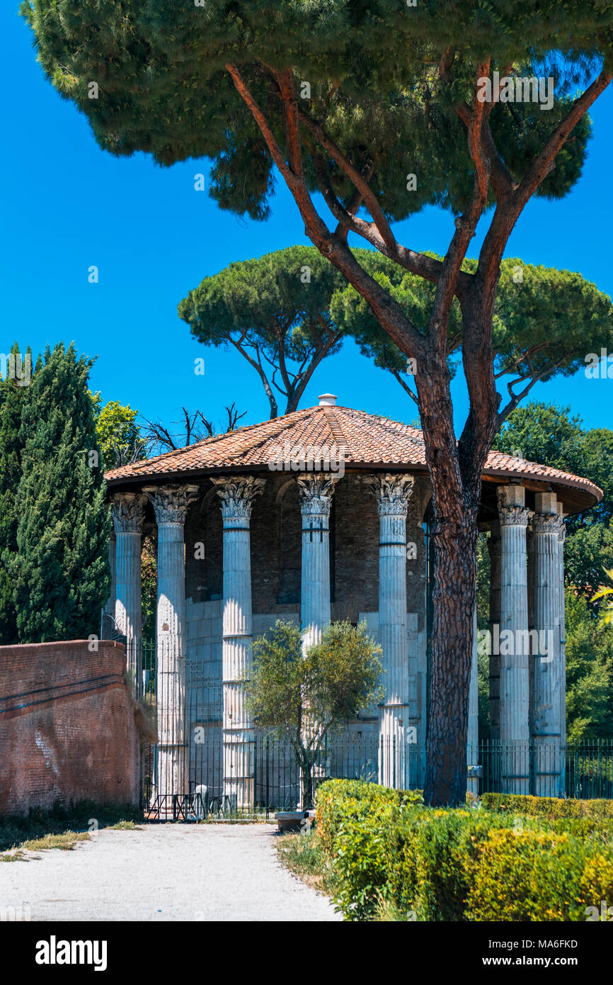 The small round Temple of Hercules Victor beneath umbrella pine trees ...