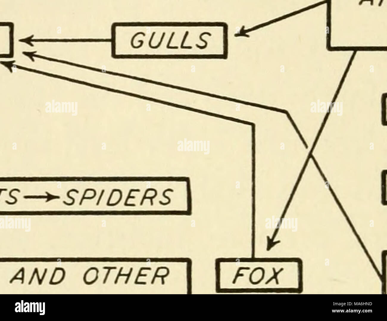 . Elements of biology, with special reference to their rôle in the ...