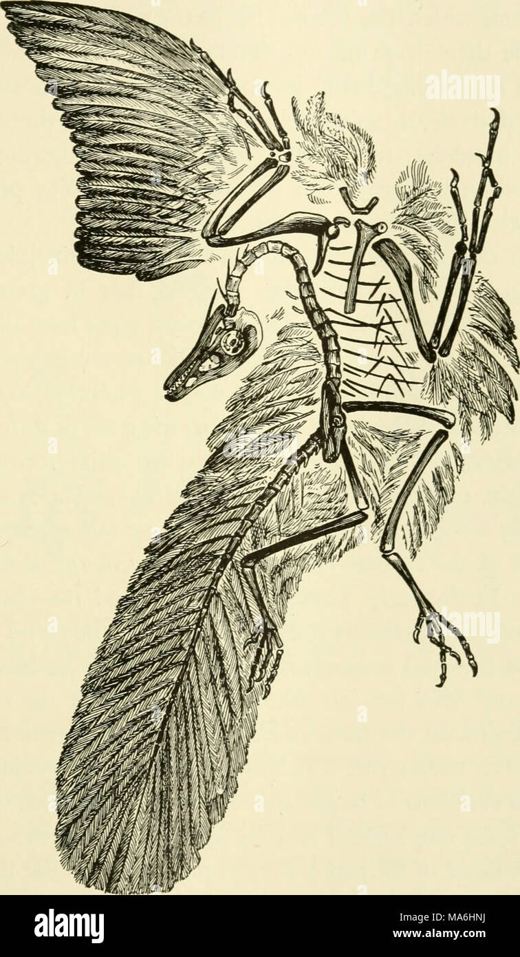 . Elements of biology, with special reference to their rôle in the ...