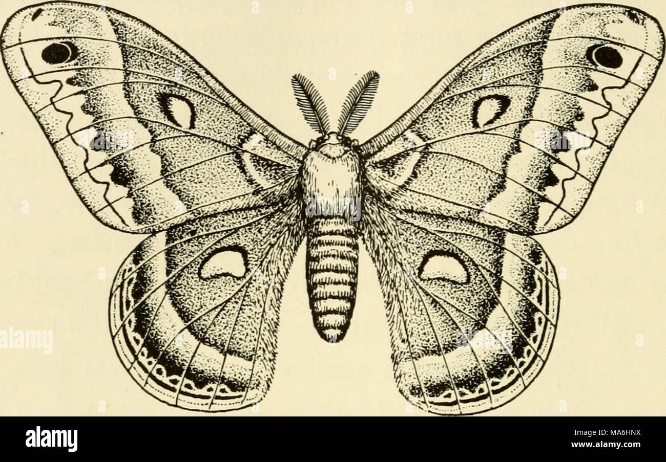 . Elements of biology, with special reference to their rôle in the ...