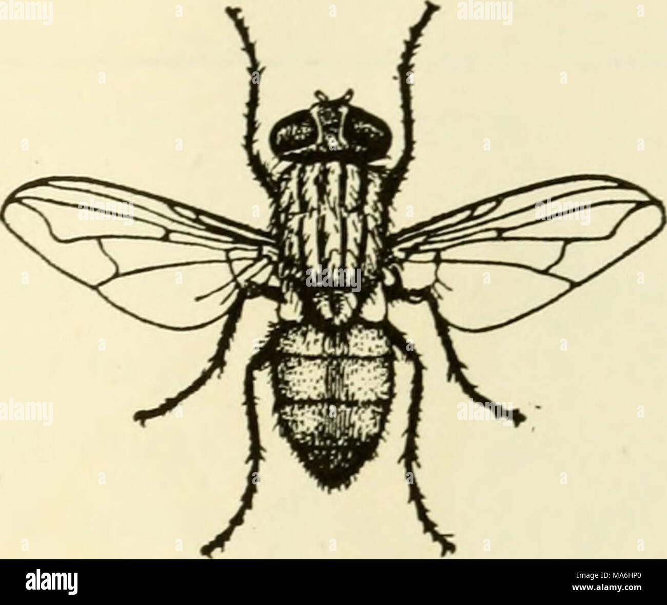 . Elements of biology, with special reference to their rôle in the ...