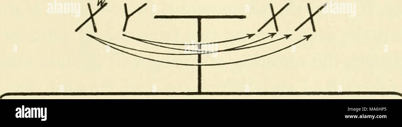 . Elements of biology, with special reference to their rôle in the ...