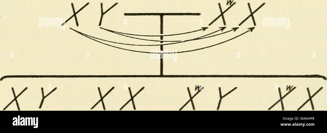 . Elements of biology, with special reference to their rôle in the ...