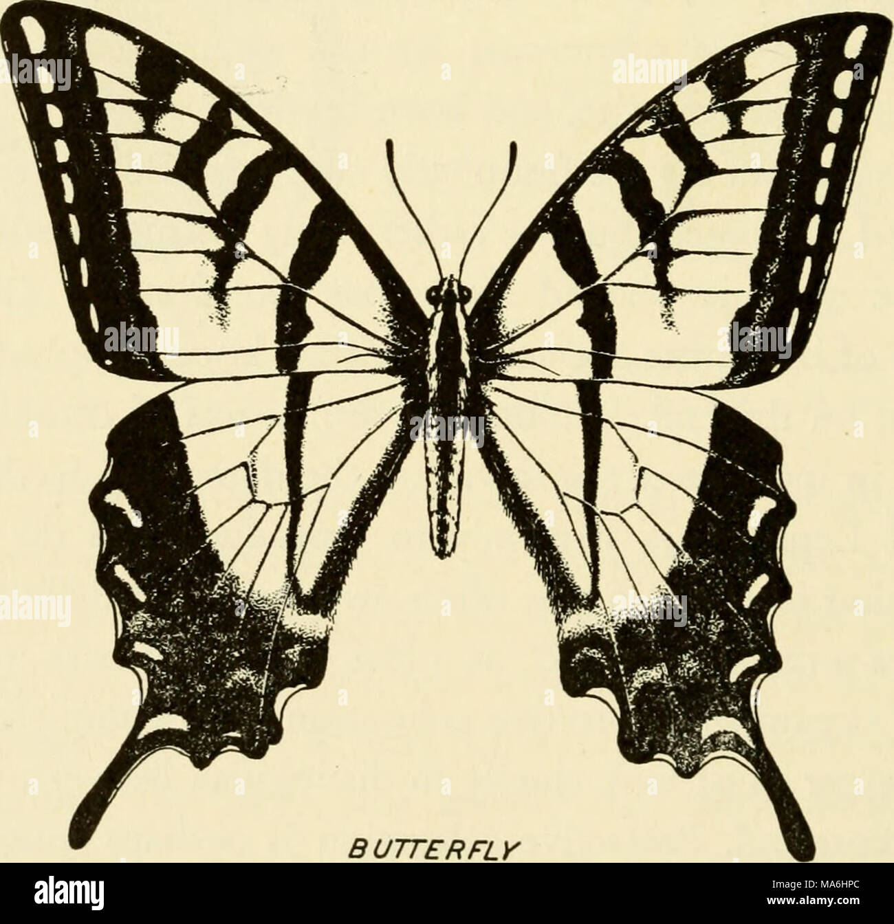 . Elements of biology, with special reference to their rôle in the ...