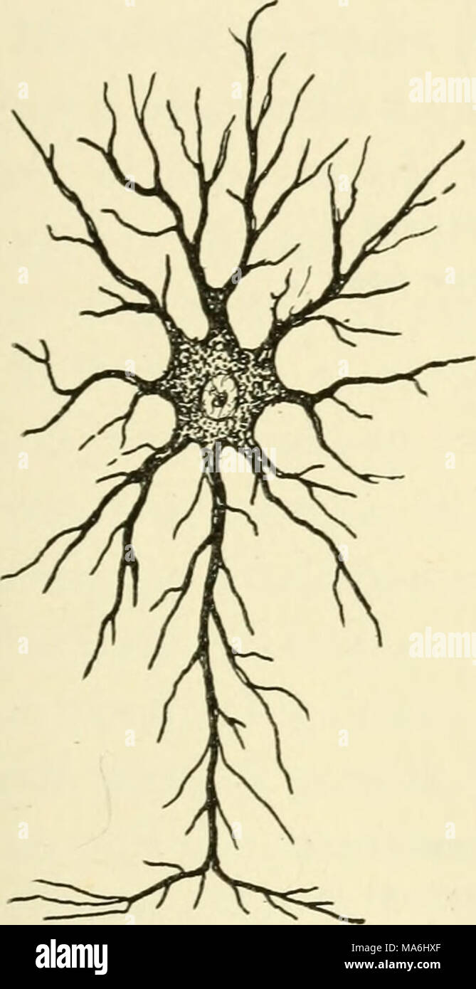 . Elements of biology, with special reference to their rôle in the ...
