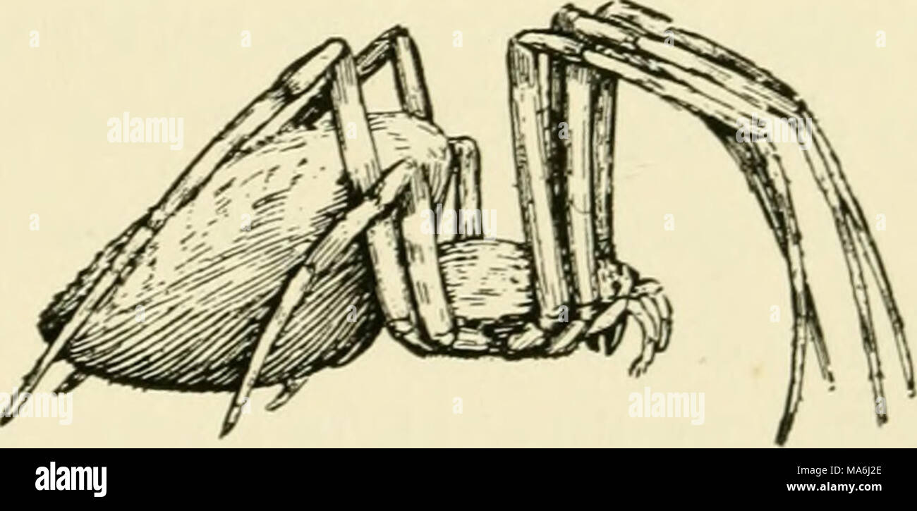 . Elements of biology, with special reference to their rôle in the ...