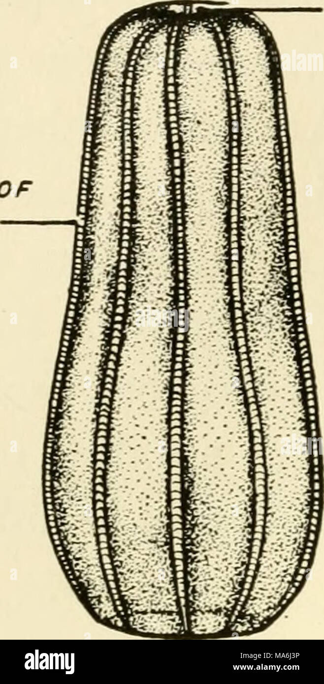 . Elements of biology, with special reference to their rôle in the ...