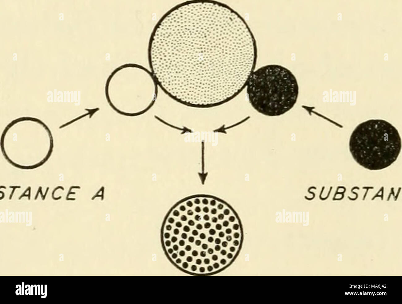 . Elements of biology, with special reference to their rôle in the ...