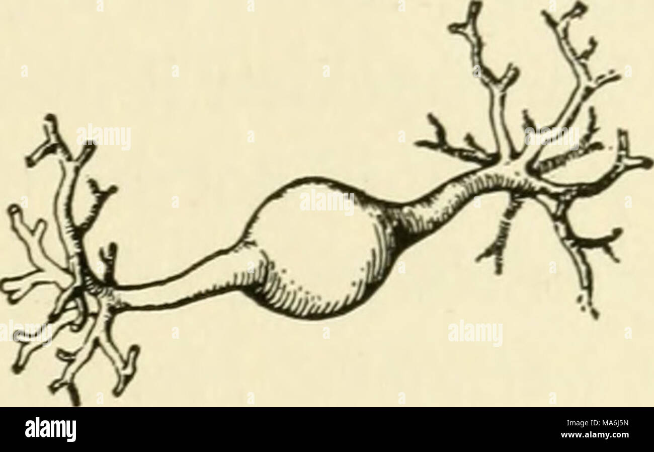 . Elements of biology, with special reference to their rôle in the ...