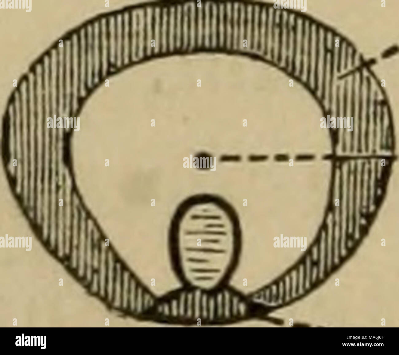 . The elements of agriculture Stock Photo - Alamy