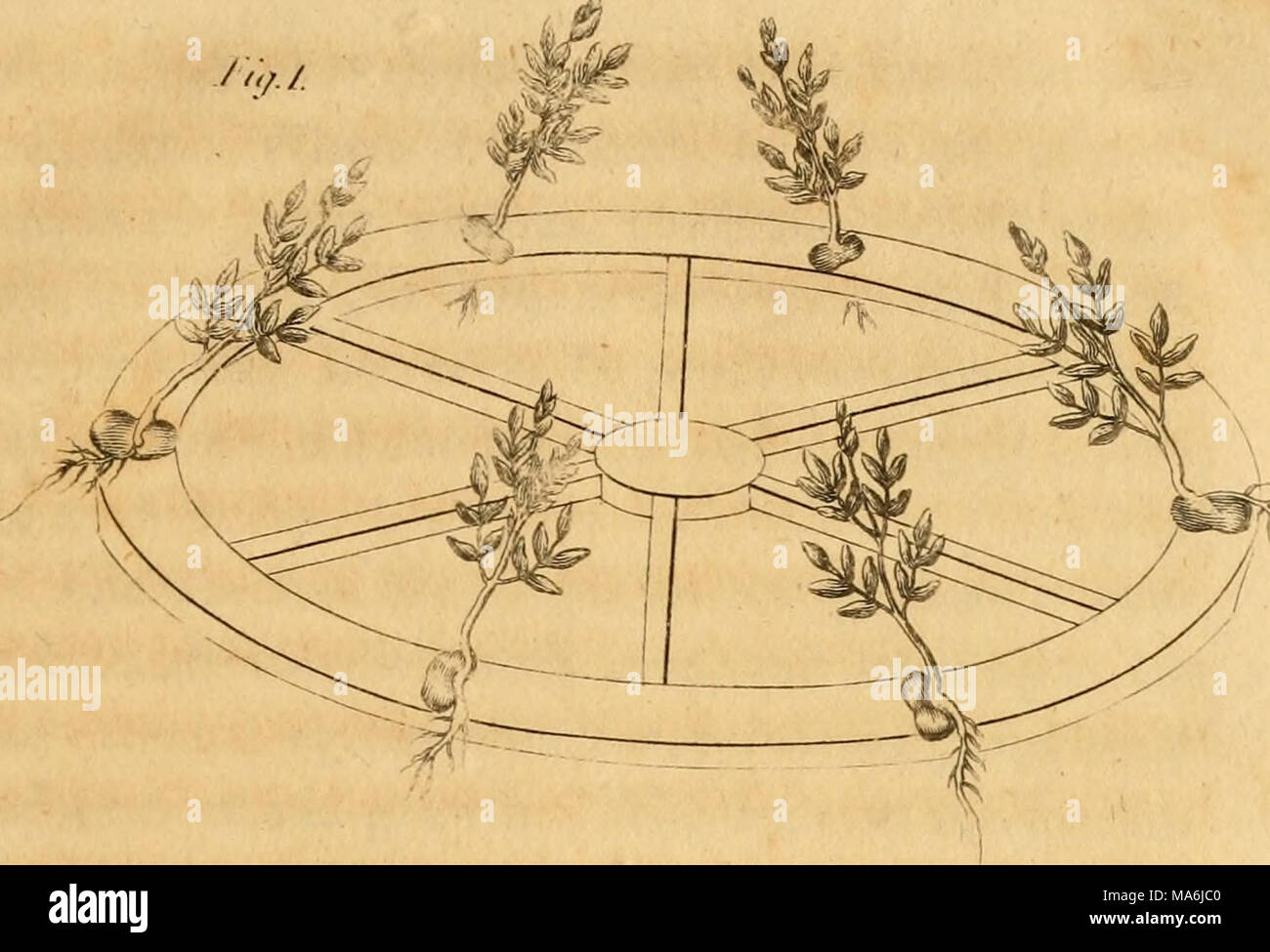 . Elements of agricultural chemistry, in a course of lectures for the ...