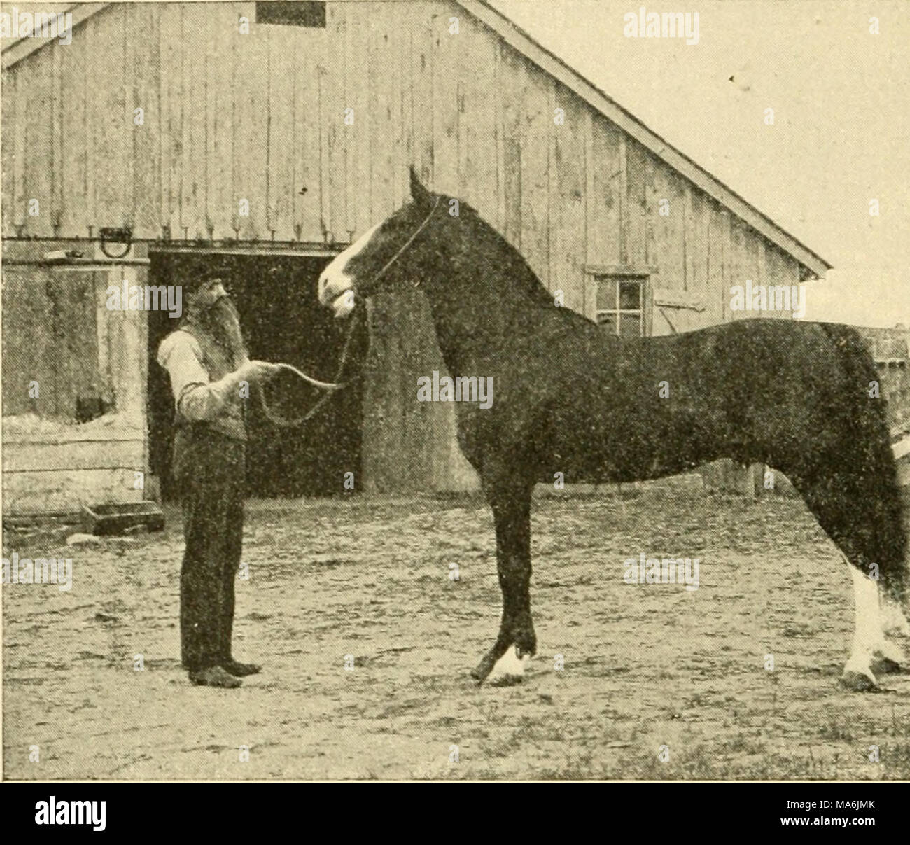 . Elements of agriculture Stock Photo - Alamy